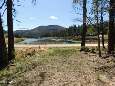 Alpine, AZ Real Estate & Homes For Sale - Movoto