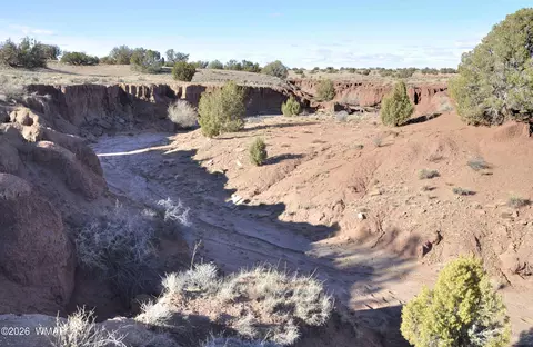 691 Cr 5270, Concho, AZ 85924 | MLS# 259065 | 39 Photos - Movoto