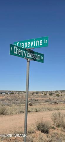 tbd N Cherry Blossom, Snowflake, AZ 85937 | MLS# 260203 | 6 Photos - Movoto