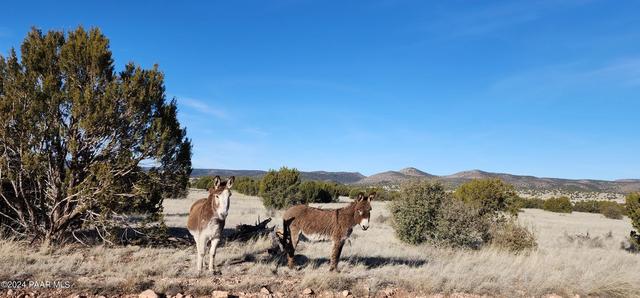 150 Off Ten Tanks, Ash Fork, AZ 86320 | 1 photo - Movoto