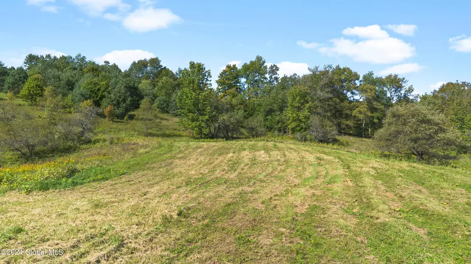 118 Sam Lape Road, Summit, NY 12175 | 12 Photos - Movoto