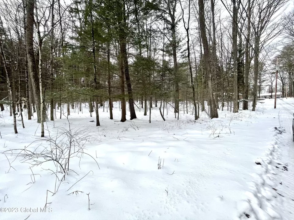 24 Lady Slipper Ln, Porter Corners, NY 12859 | MLS# 202512409 | 6 ...