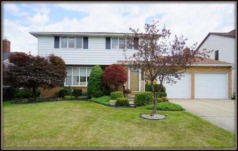 5 Best Buffalo Suburbs to Live In - Movoto