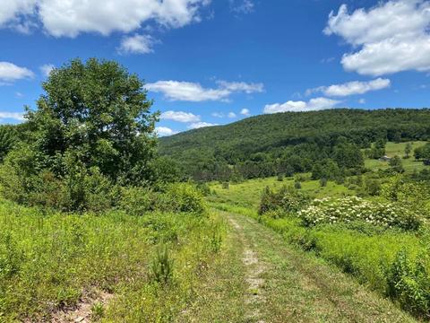 4197 County Highway 26, Colchester, NY 13782 - Movoto