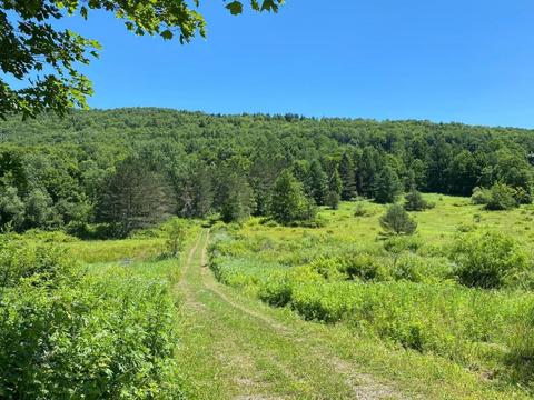 4197 County Highway 26, Colchester, NY 13782 - Movoto