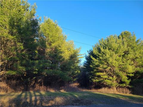 0 Altay Rd, Reading, NY 14878 | 10 Photos | MLS #R1464241 - Movoto