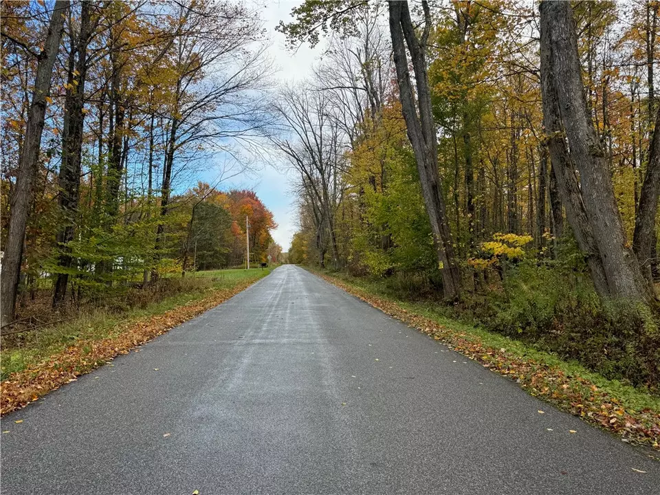 0 Town Line Rd, Butternuts, NY 13776 | MLS# R1568247 | 15 Photos - Movoto