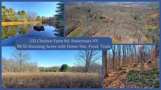 233 Chicken Farm Rd, Butternuts, NY 13776 | MLS# R1576999 | 50 Photos ...