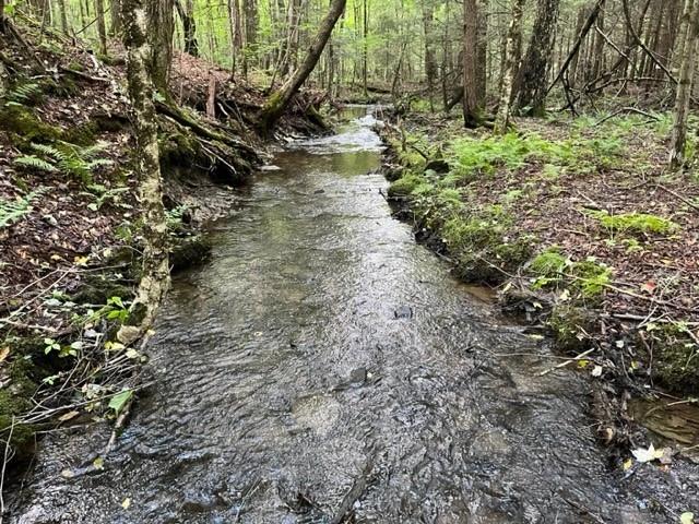 3 Pitcher Homes For Sale & Pitcher, NY Real Estate - Movoto