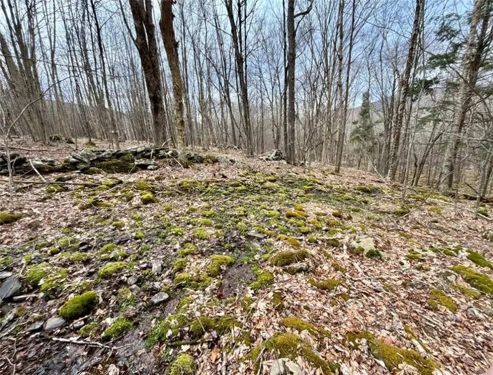 lot43 George Lawrence Rd, Roxbury, NY 12421 | MLS# R1600062 | 27 Photos ...