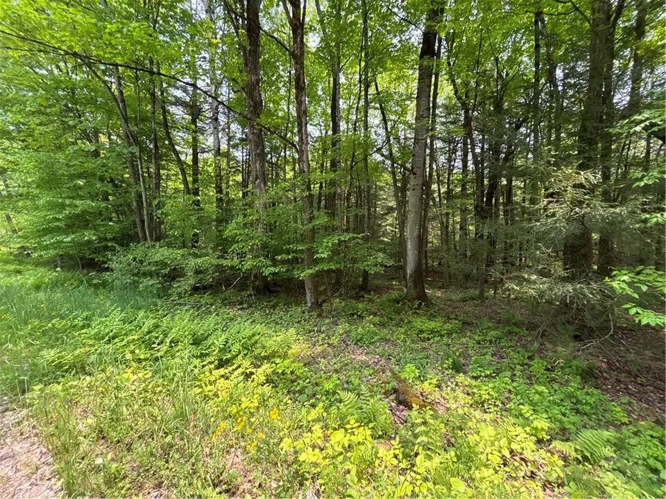 Spring Road S, Ossian, NY 14437 | MLS# R1612203 | 12 Photos - Movoto