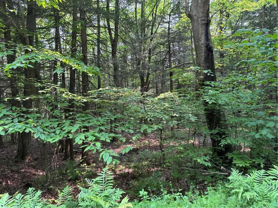 Spring Road S, Ossian, NY 14437 | MLS# R1612203 | 12 Photos - Movoto