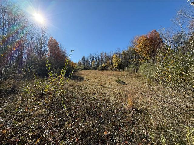 Willowdale Drive, Macedon, NY 14502 | MLS# R1649271 | 49 Photos - Movoto