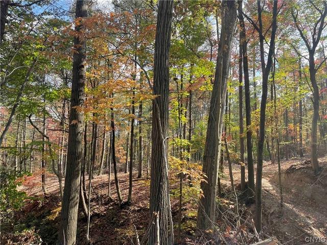 Sonyea, NY Real Estate - Sonyea Homes For Sale | Movoto