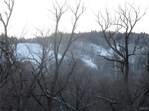 2057 State Route 392, Virgil, NY 13045 | 33 Photos - Movoto