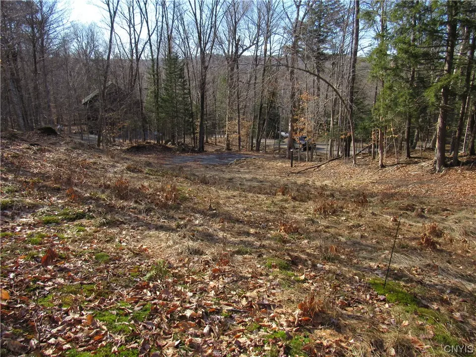 142 Joy Tract Rd, Webb, NY 13420 | 17 Photos - Movoto