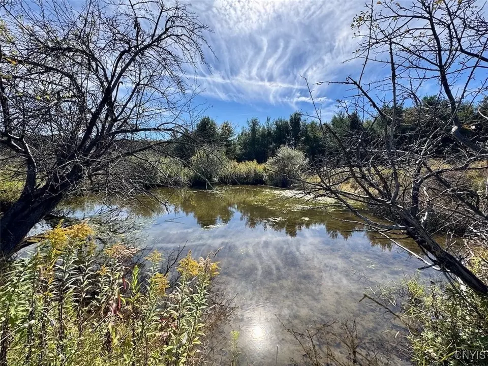 Gleason Hill Road, Belfast, NY 14711 | MLS# S1643422 | 47 Photos - Movoto