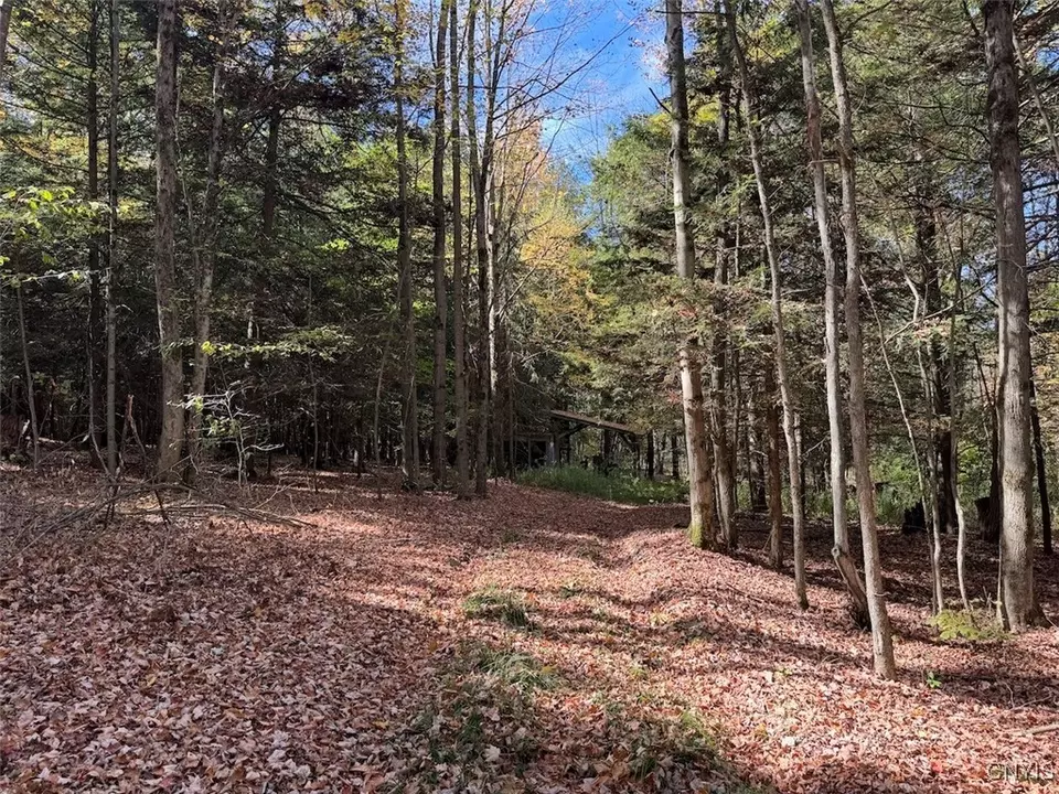 Gleason Hill Road, Belfast, NY 14711 | MLS# S1643422 | 47 Photos - Movoto