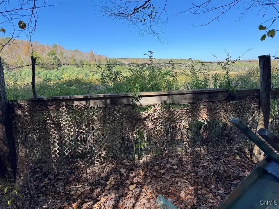 Gleason Hill Road, Belfast, NY 14711 | MLS# S1643422 | 47 Photos - Movoto