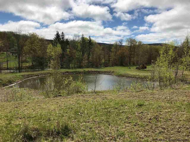 963 Route 1, Halcott Center, NY 12430 - Movoto