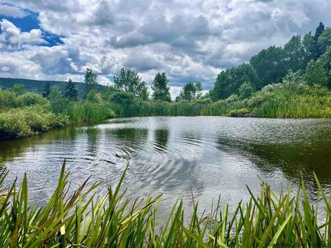1618 County Rt 8 #1618 SCUDDER HILL RD., Germantown, NY 12526 | 14 ...