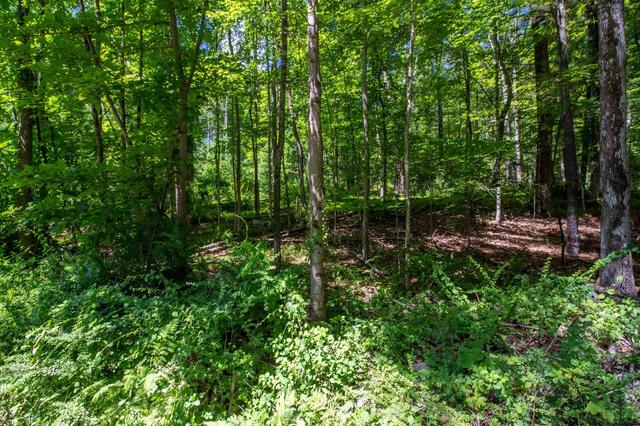 Weber Lane, Olivebridge, NY 12461 | 7 Photos - Movoto