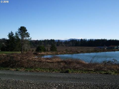 Amboy WA Homes for Sale | 22 Amboy Real Estate Listings - Movoto