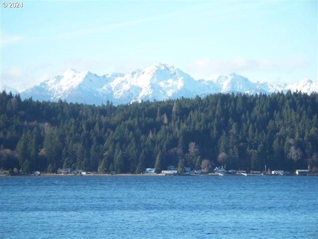 state route 106, Belfair, WA 98528 | 21 Photos - Movoto