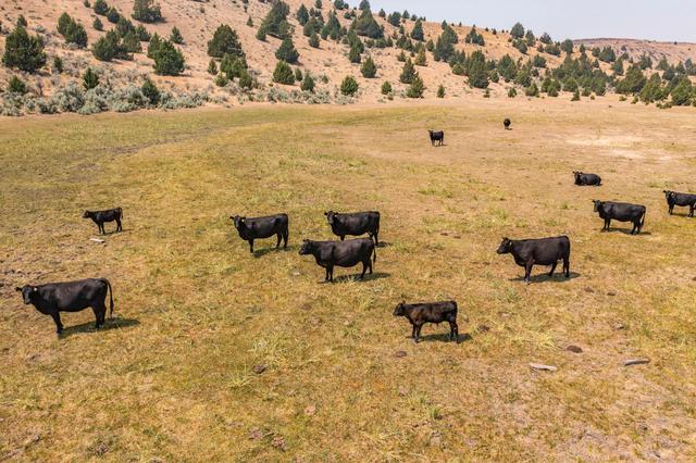 4 Antelope Homes For Sale & Antelope, OR Real Estate - Movoto