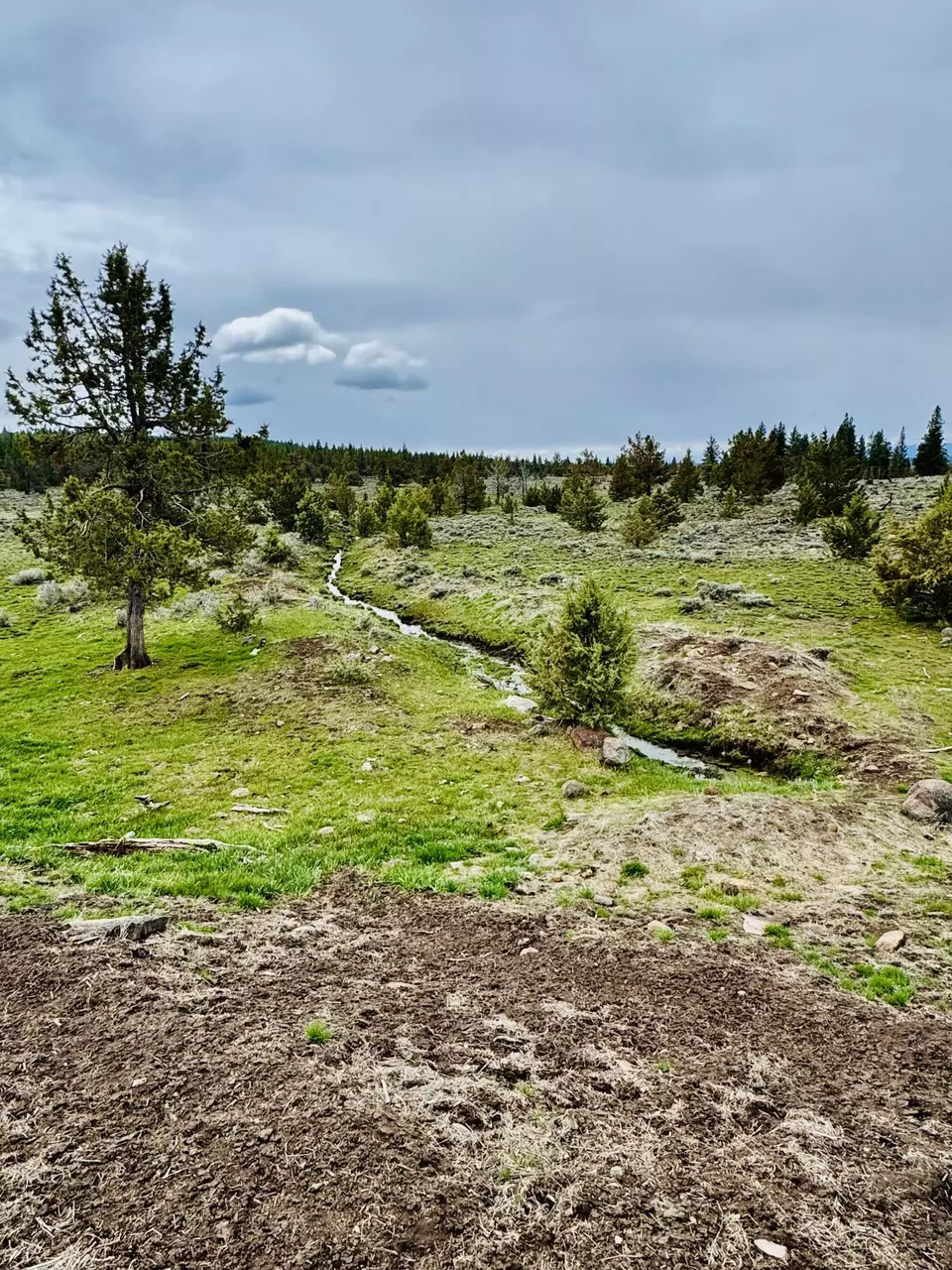 57301 Gerber Rd, Bonanza, OR 97623 | 4 Photos - Movoto