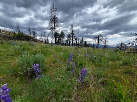 0 570x Tunk Creek Rd, Riverside, WA 98849 | 30 Photos - Movoto