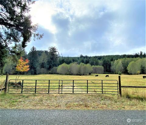 284 E Humptulips Rd, Humptulips, WA 98552 | 7 Photos | MLS #2012758 ...