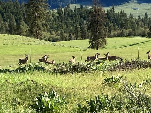 8105 Williams Canyon Rd, Dryden, WA 98821 | 1 photo - Movoto