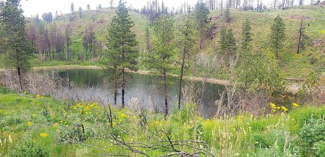 0 Nka Madd Mtn, Okanogan, WA 98840 | 1 photo - Movoto