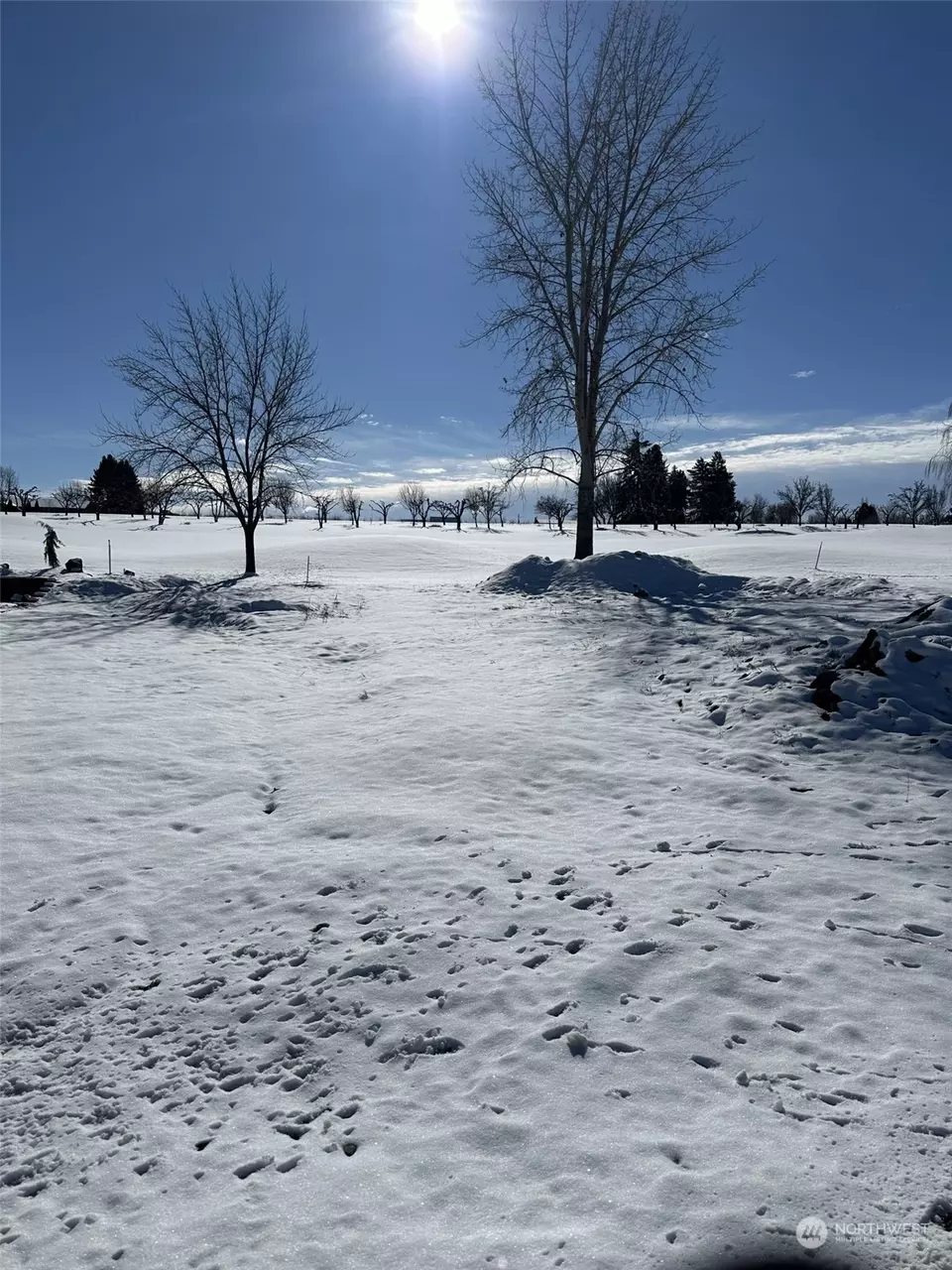 9502 Apple Tree Pkwy, Yakima, WA 98902 | 3 Photos - Movoto