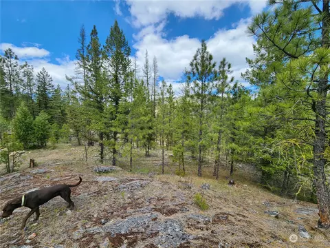 1044 Aeneas Valley Rd, Tonasket, WA 98855 | 38 Photos - Movoto