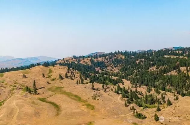 0 Xy Union Ridge Rd, Republic, WA 99166 | MLS# 2344936 | 3 Photos - Movoto
