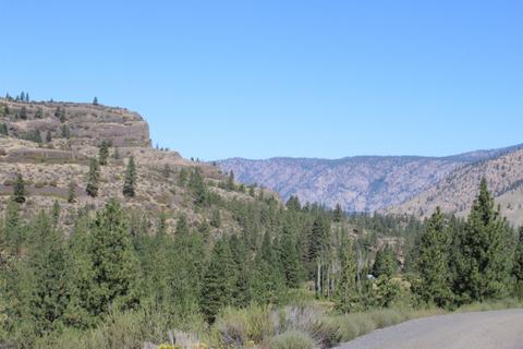 38265 N Timber Ln, Lincoln, WA 99147 | 3 Photos | MLS #202223590 - Movoto