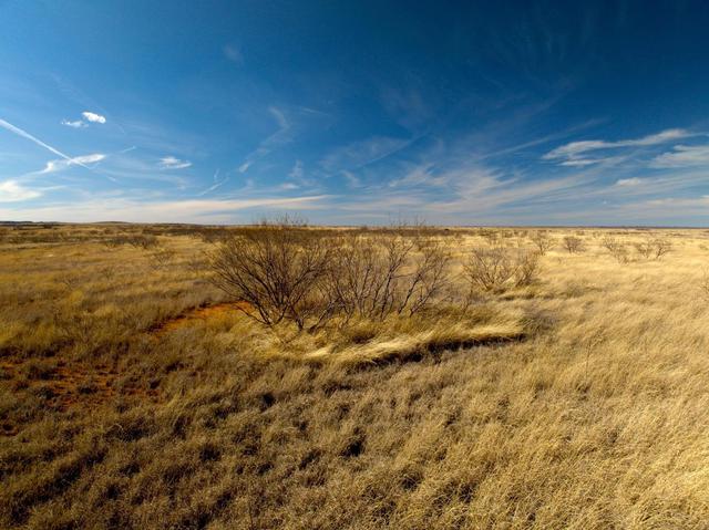 2 Flomot Homes For Sale & Flomot, TX Real Estate - Movoto