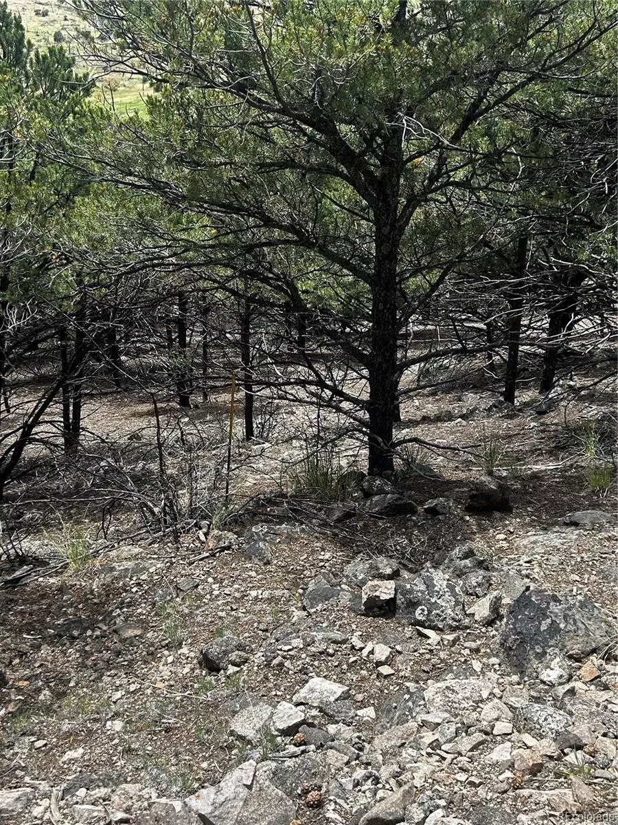 1880 Copper Gulch Rd, Cotopaxi, CO 81223 | 16 Photos - Movoto