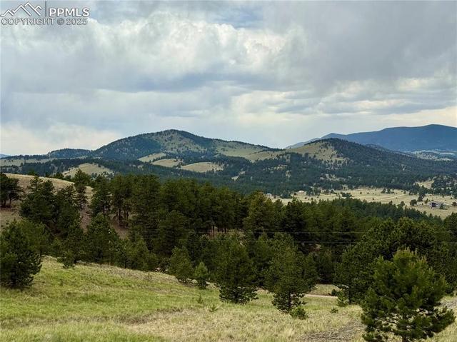 682 Nancy Ann Arroyo, Guffey, CO 80820 | MLS# 1081793 | 34 Photos - Movoto