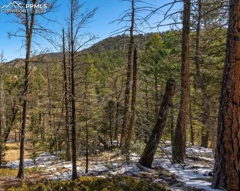 352 Reed Cir, Cripple Creek, CO 80813 - Movoto