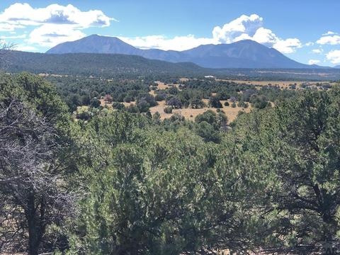 209 Walsenburg Homes for Sale - Walsenburg CO Real Estate - Movoto