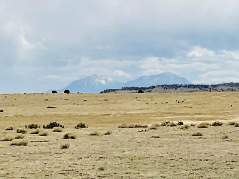229 Walsenburg Homes for Sale - Walsenburg CO Real Estate - Movoto