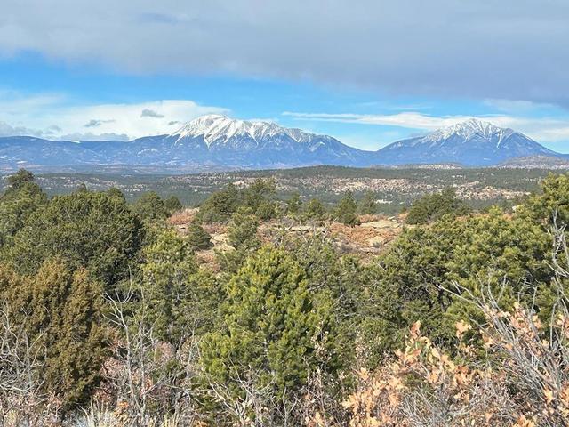 9 Segundo Homes For Sale & Segundo, CO Real Estate - Movoto