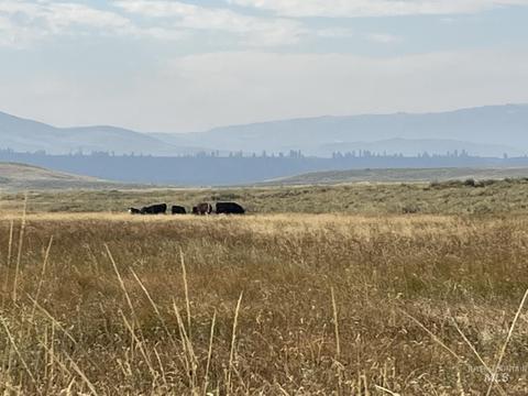 Parcel 15 Anderson Ranch Bluffs Survey, Pine, ID 83647 - Movoto