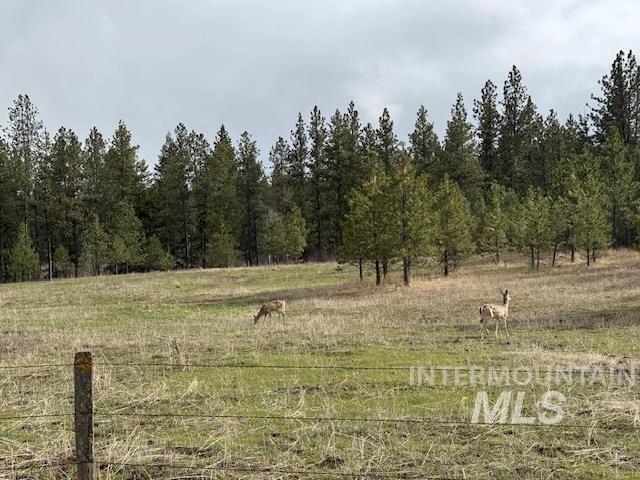 30 Acres Anatone, Anatone, WA 99401 | MLS# 98941652 | 6 Photos - Movoto