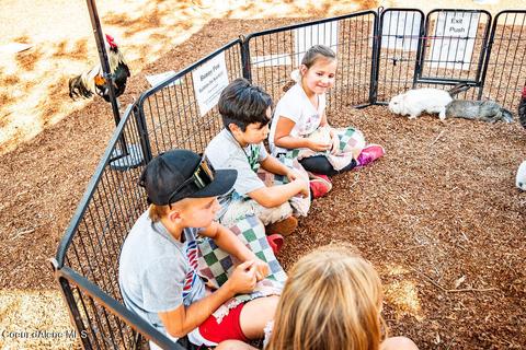 Lot 49 Clagstone Ranch, Spirit Lake, ID 83869 - Movoto.com