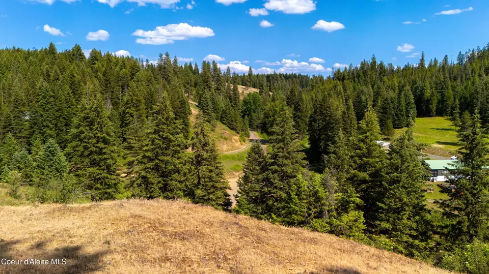 Tract 21 Ryan Loop, Saint Maries, ID 83861 | MLS# 25-6692 | 26 Photos ...