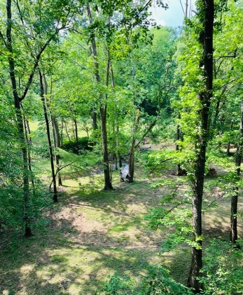 6680 Pinewood Rd, Nunnelly, TN 37137 | 39 Photos | MLS #2530224 - Movoto